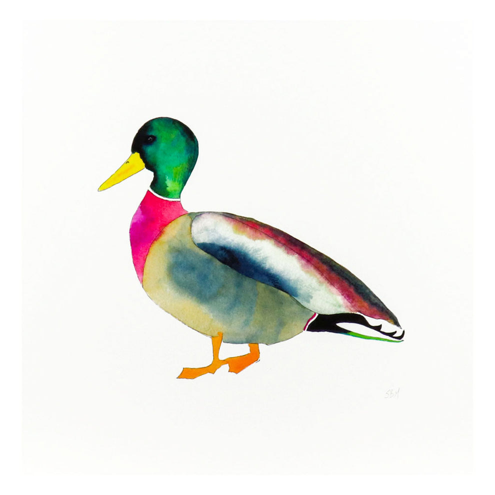 Mallard | Duck Art Prints | Unique Animal Wall Art – Prince & Pom